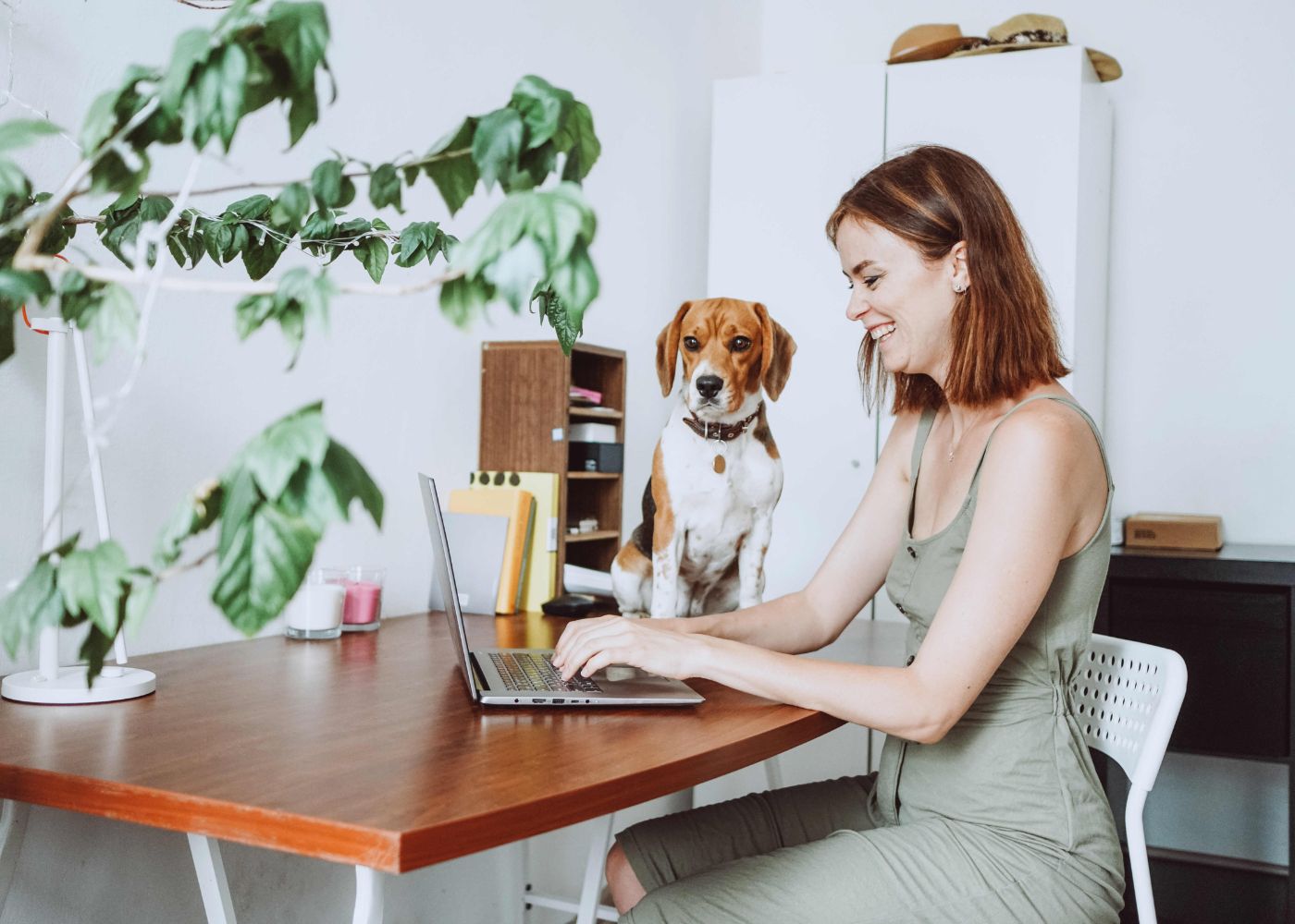 5 Dog-Friendly Ideas to Take a Break from Your Home Office